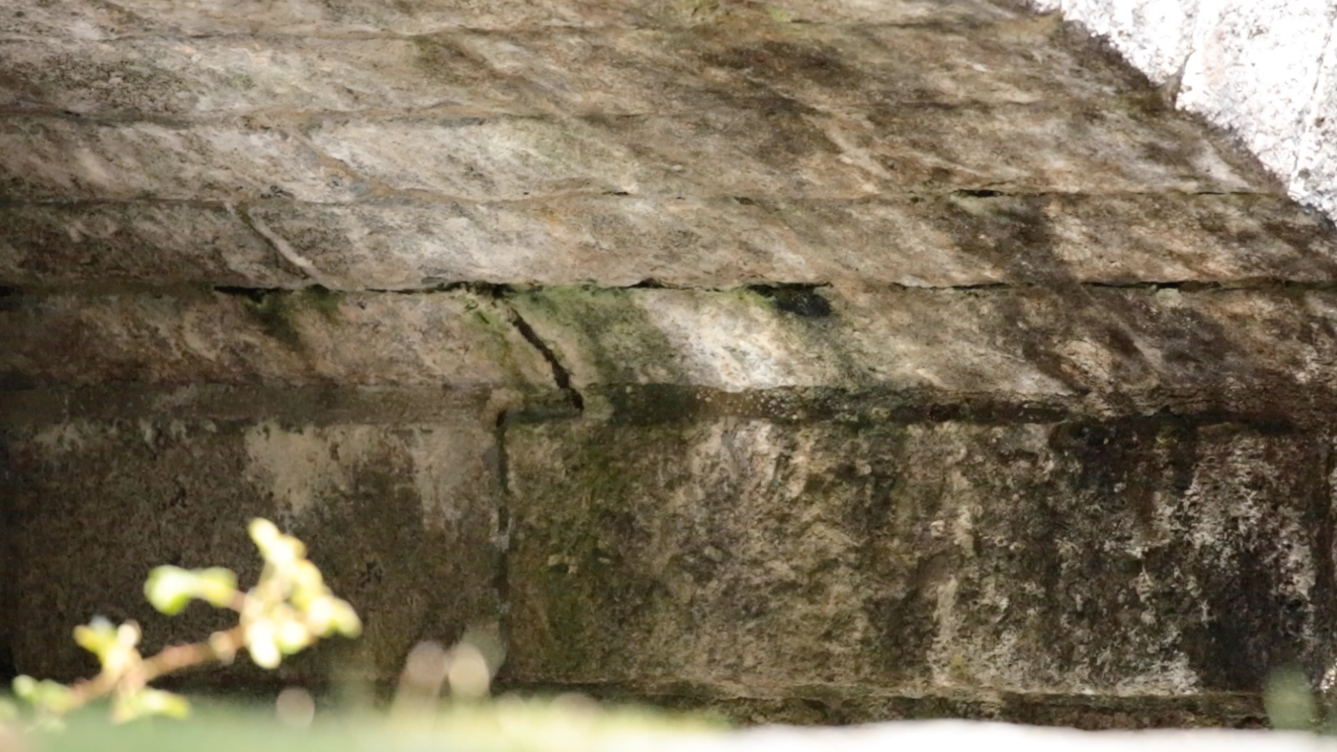 Jonathan Broder - 16/06/2015: ReflectionsJonathan Broder