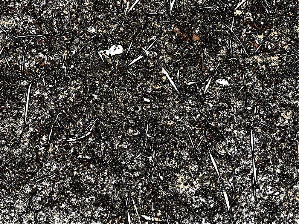 09/08/2015: Cartoon Grass - Jonathan Broder