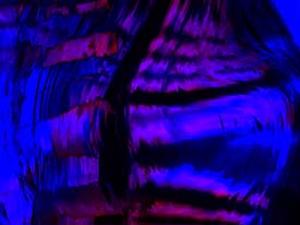 Jonathan Broder - dragged